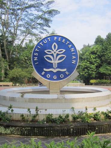 6 Jurusan Diploma IPB yang Paling Diminati Dan Populer