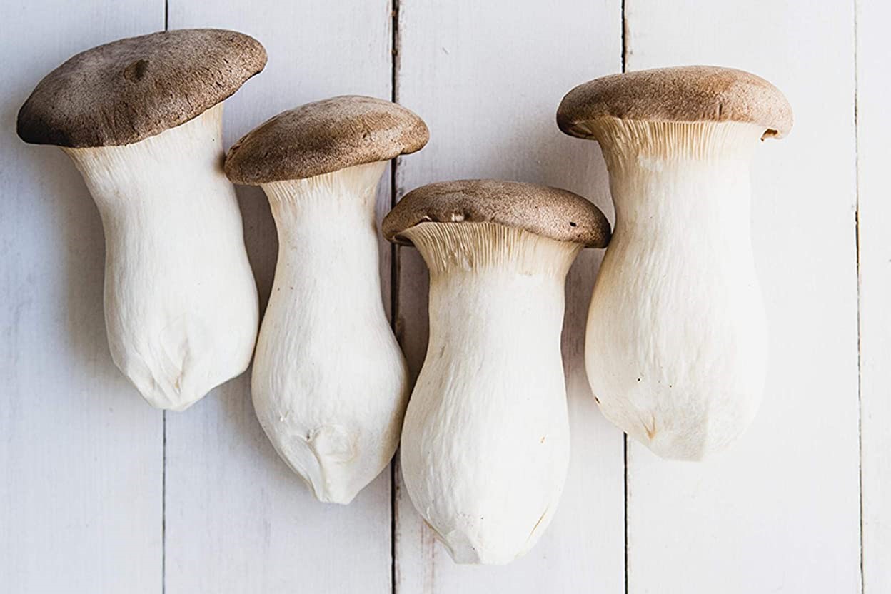 18 Macam Jenis Jamur yang Bisa Dikonsumsi Selain Jamur Enoki